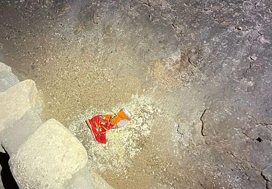 Πώς ένα σακουλάκι με γαριδάκια Cheetos άλλαξε ένα ολόκληρο οικοσύστημα ...