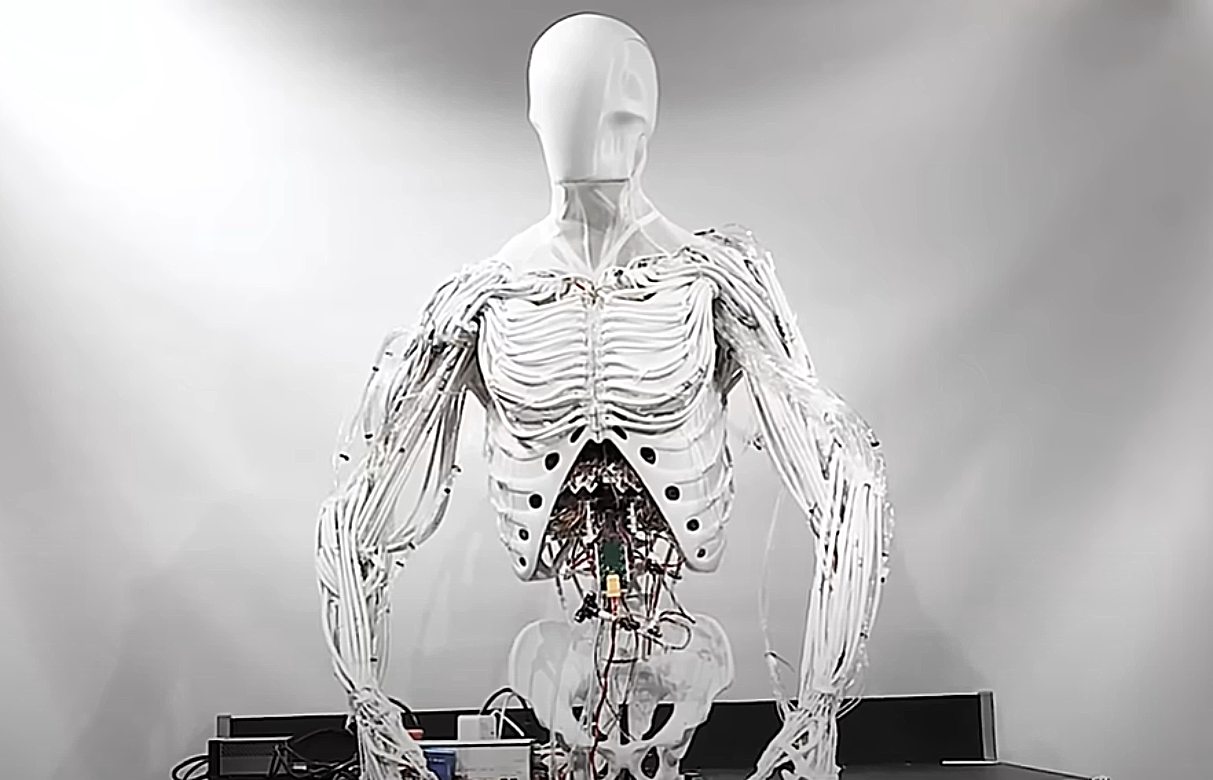 Clone Robotics: Ο ρομποτικός κορμός με τεχνητούς μύες που θυμίζει ...