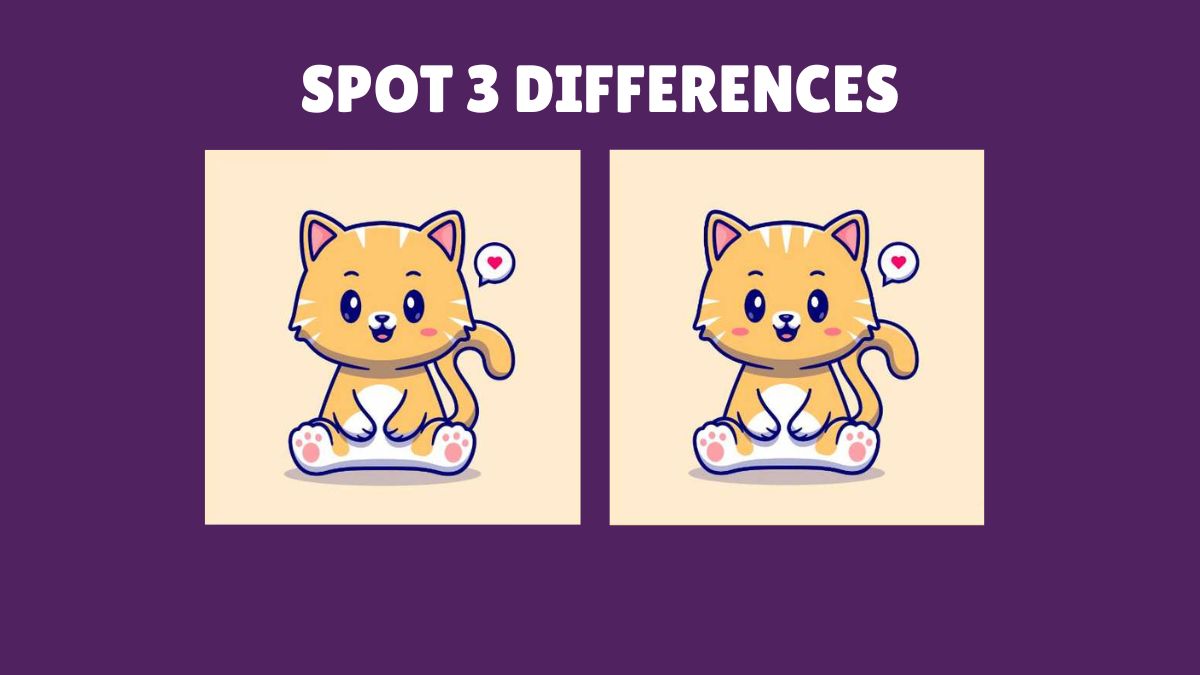 Τεστ παρατηρητικότητας: Μπορείτε να βρείτε τις 3 διαφορές στις εικόνες με ένα χαριτωμένο γατάκι ...